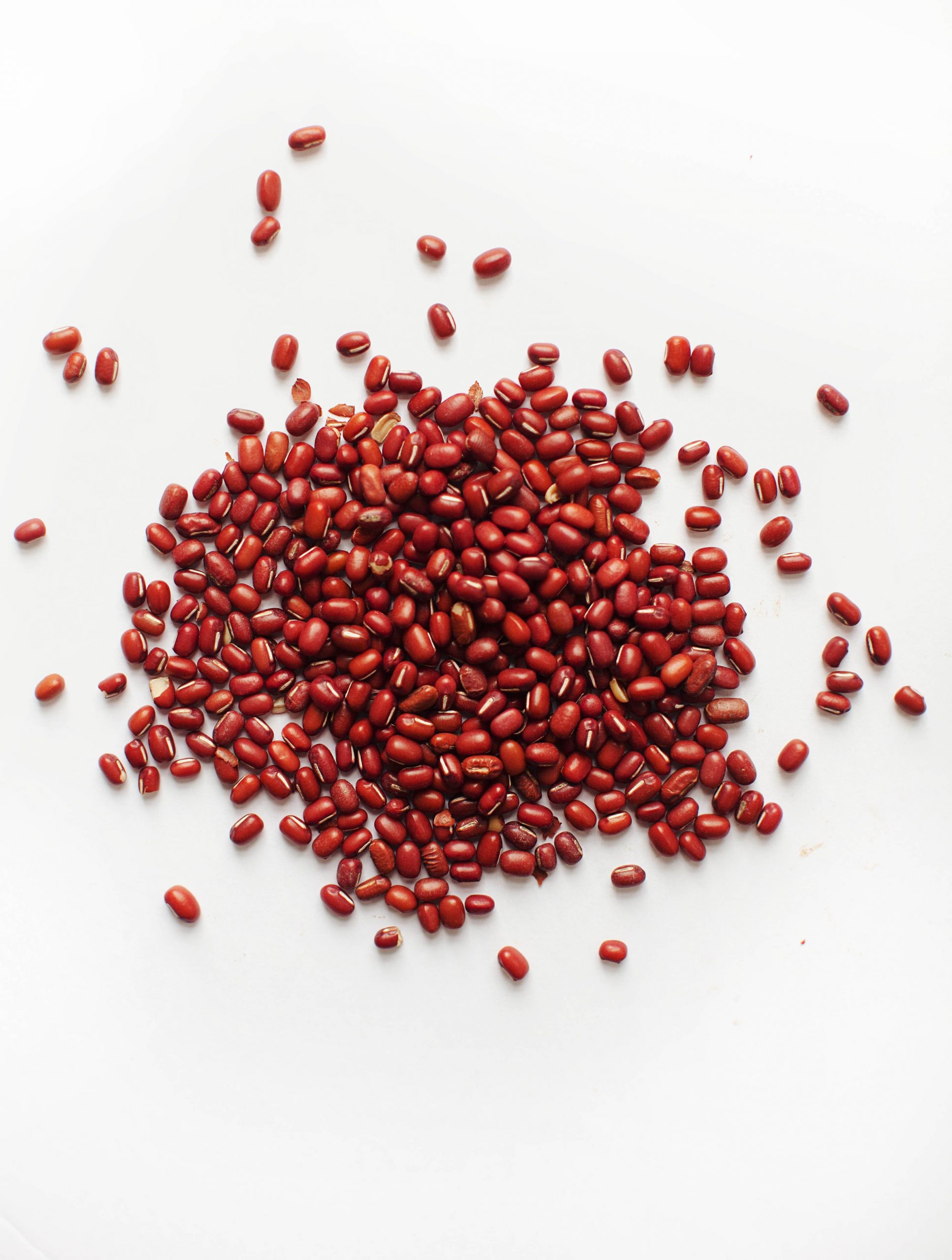 Adzuki Beans - My New Roots Grow