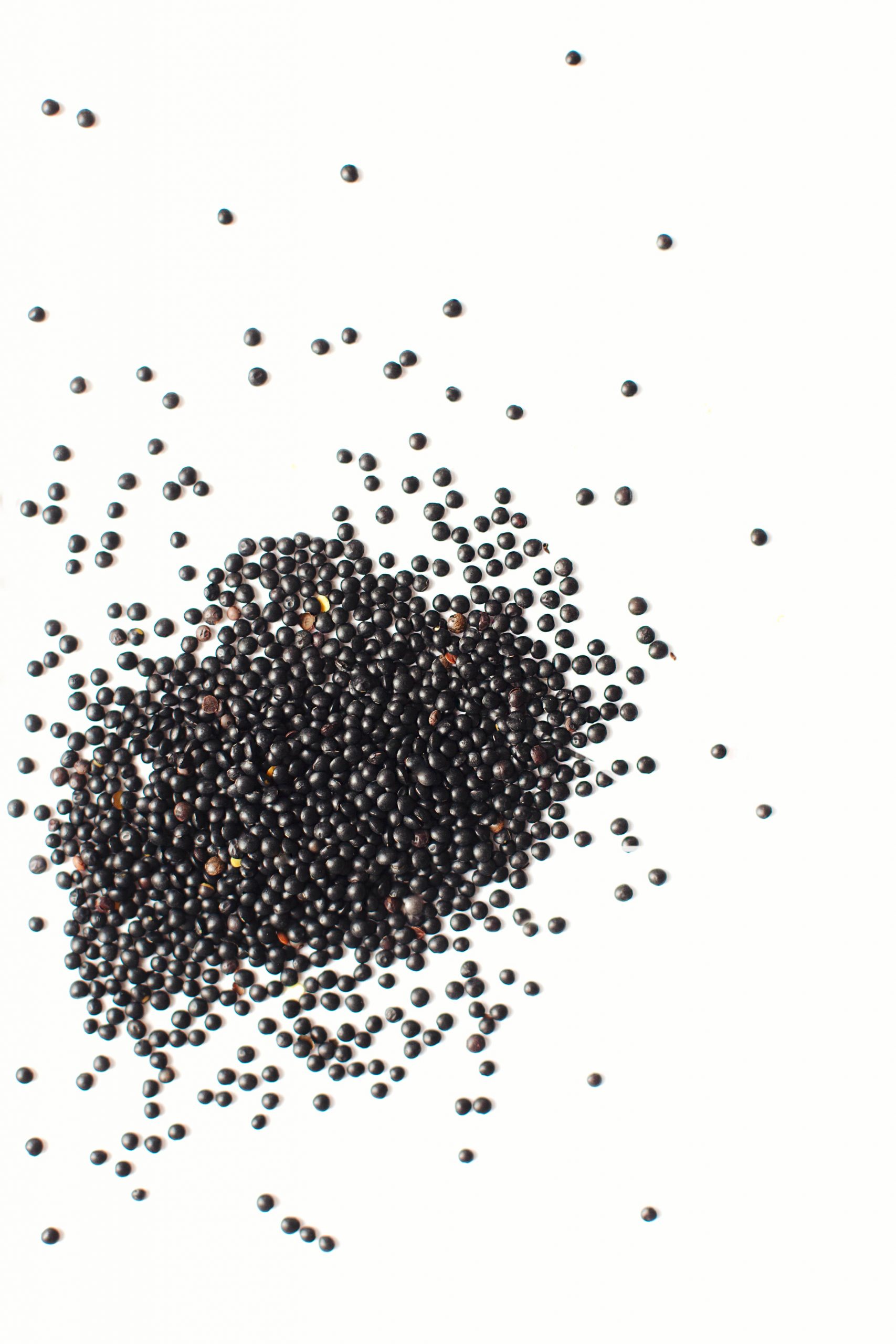 Beluga Lentils - My New Roots Grow