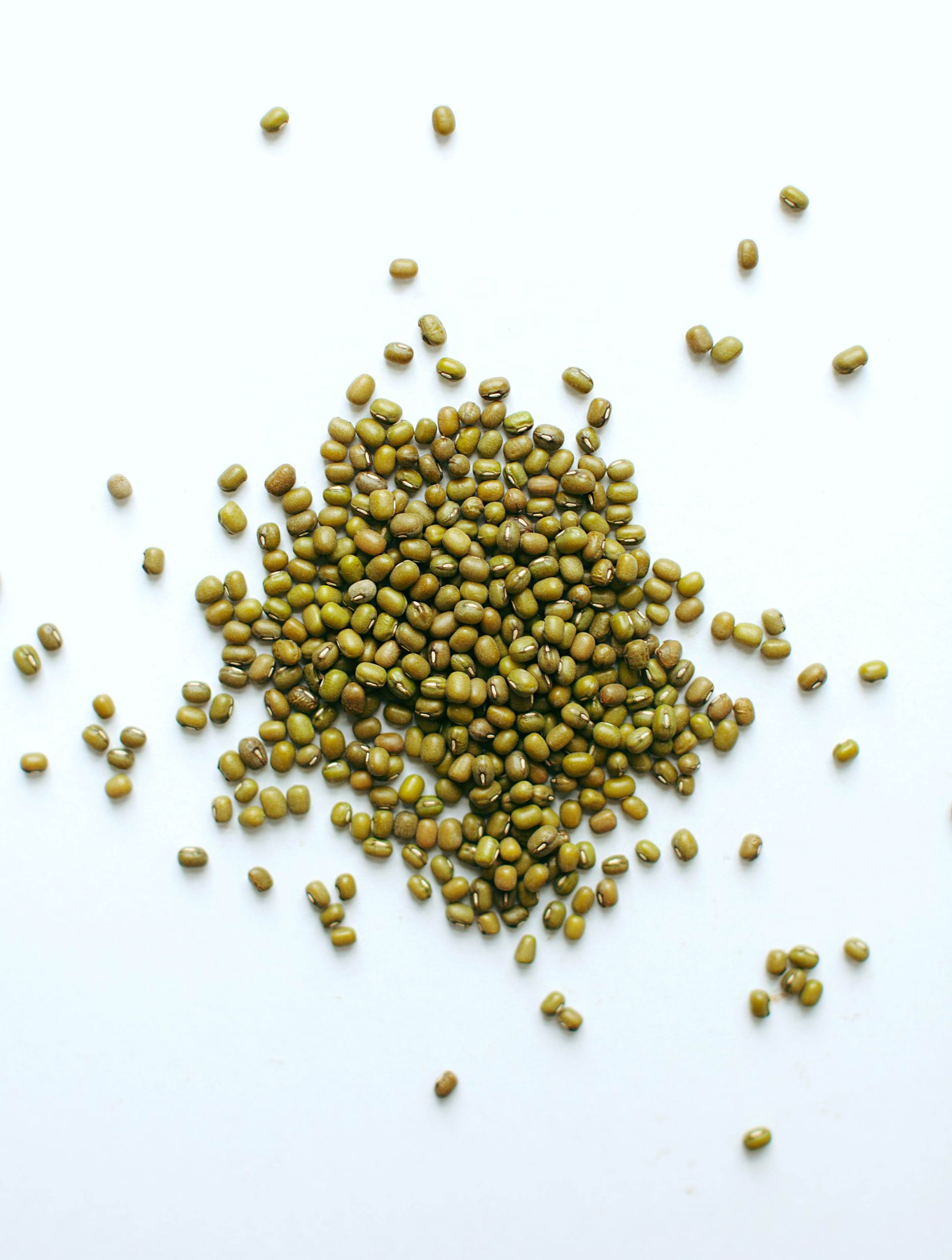 Mung Beans - My New Roots Grow