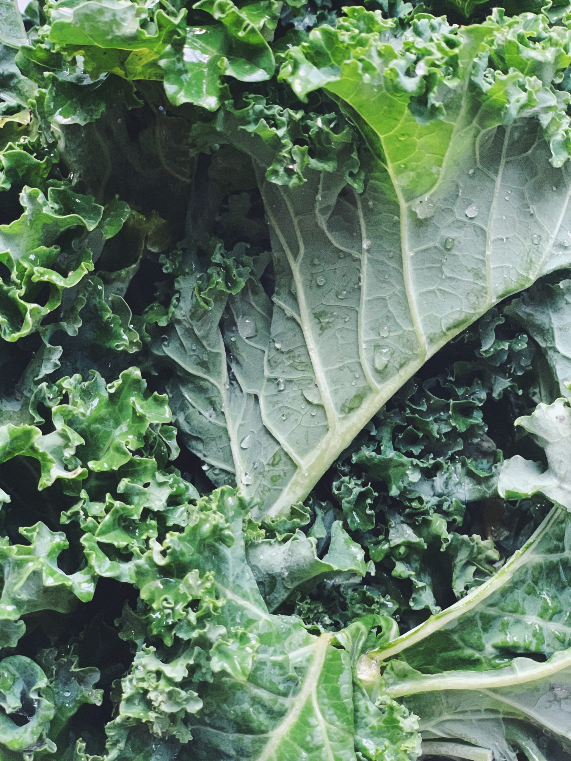 Simple Steamed Greens - My New Roots Grow