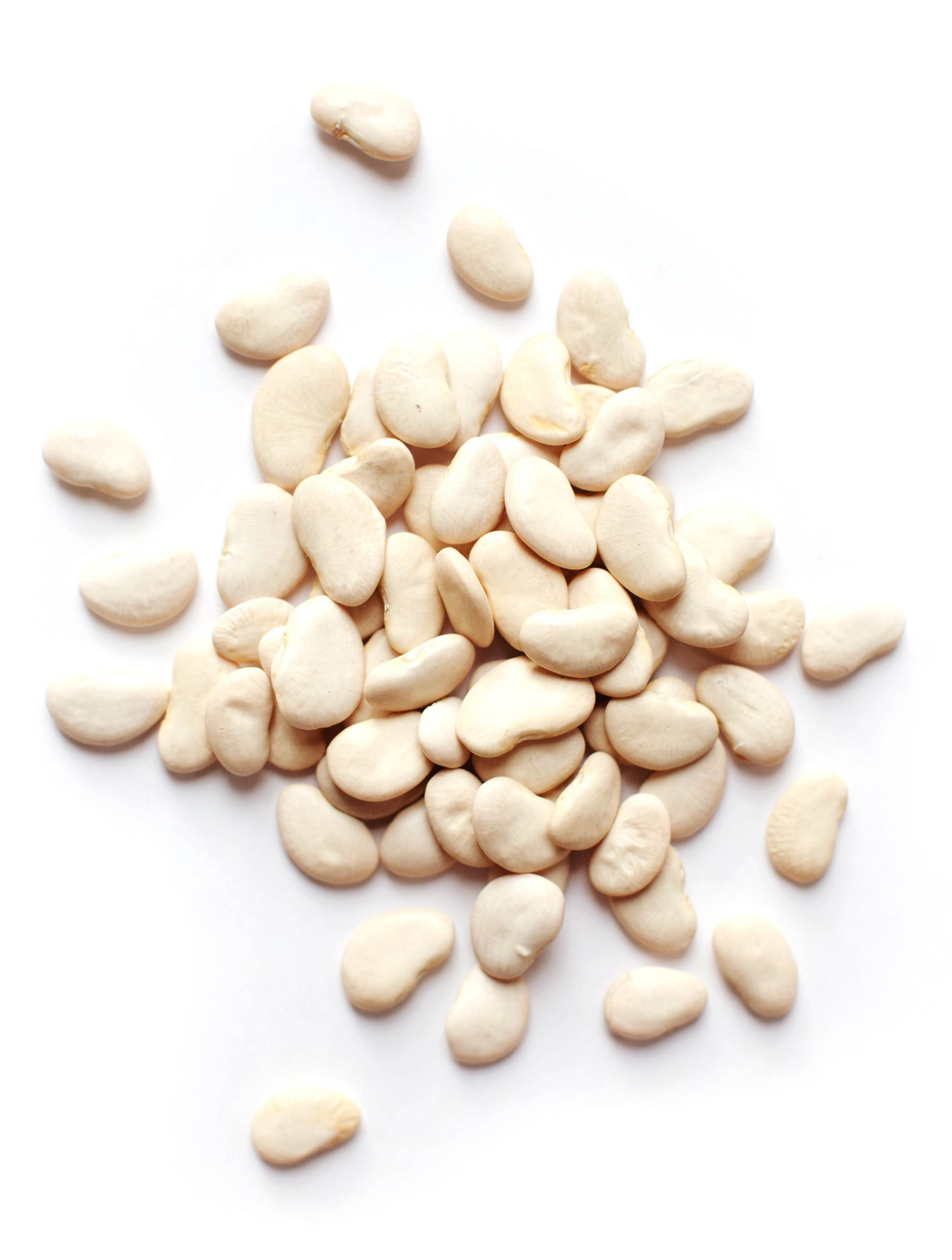 Butter Beans - My New Roots Grow